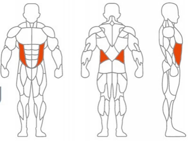 Máquina para rotación del tronco LDLS-011 | Land Fitness | ETW ...