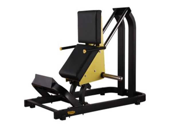 Máquina Hack para sentadilla Squat LD-6045 | Land Fitness | ETW ...